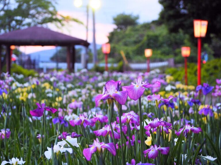 5 Popular Summer Flowers in Japanese Garden