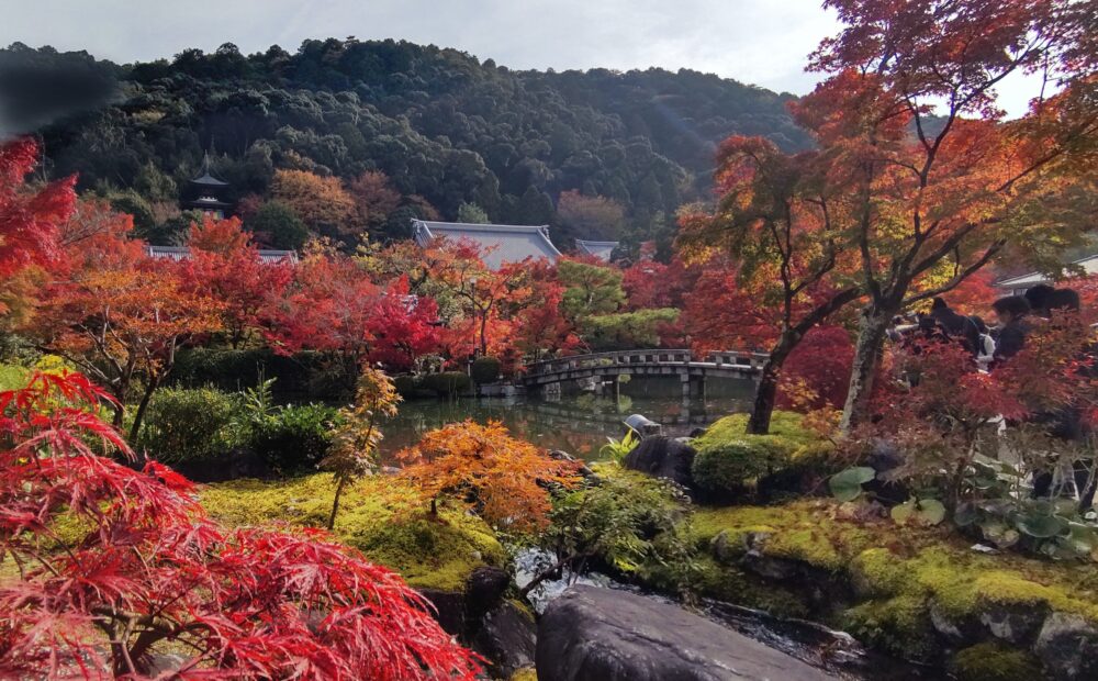 Eikando Zenrin-ji | the best time to visit in 2023