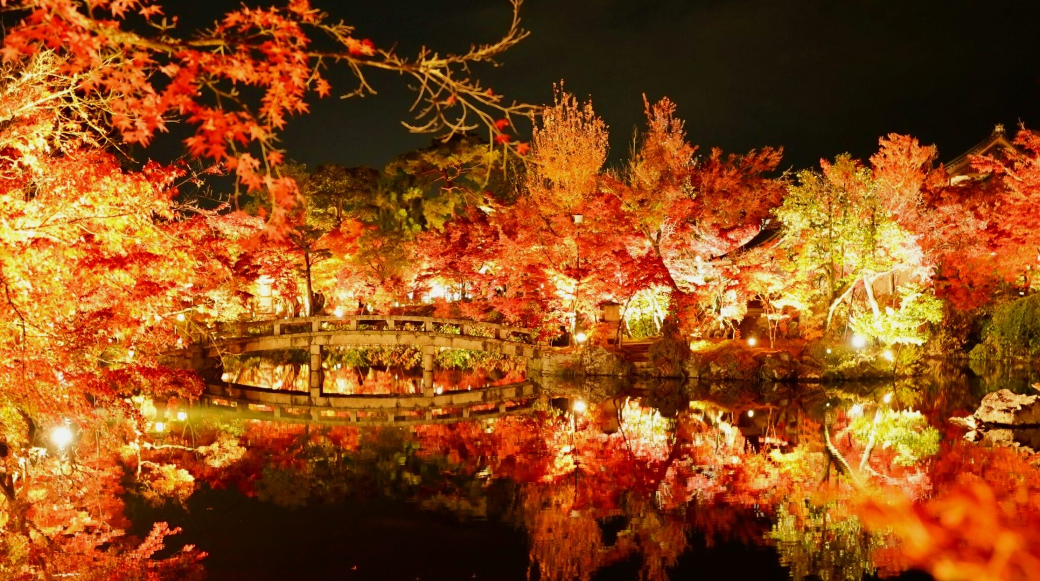 Eikando Zenrin-ji | the best time to visit in 2025Seasonal Japanese Garden