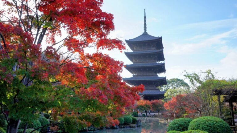 Toji Temple | The best time to visit in 2025Seasonal Japanese Garden