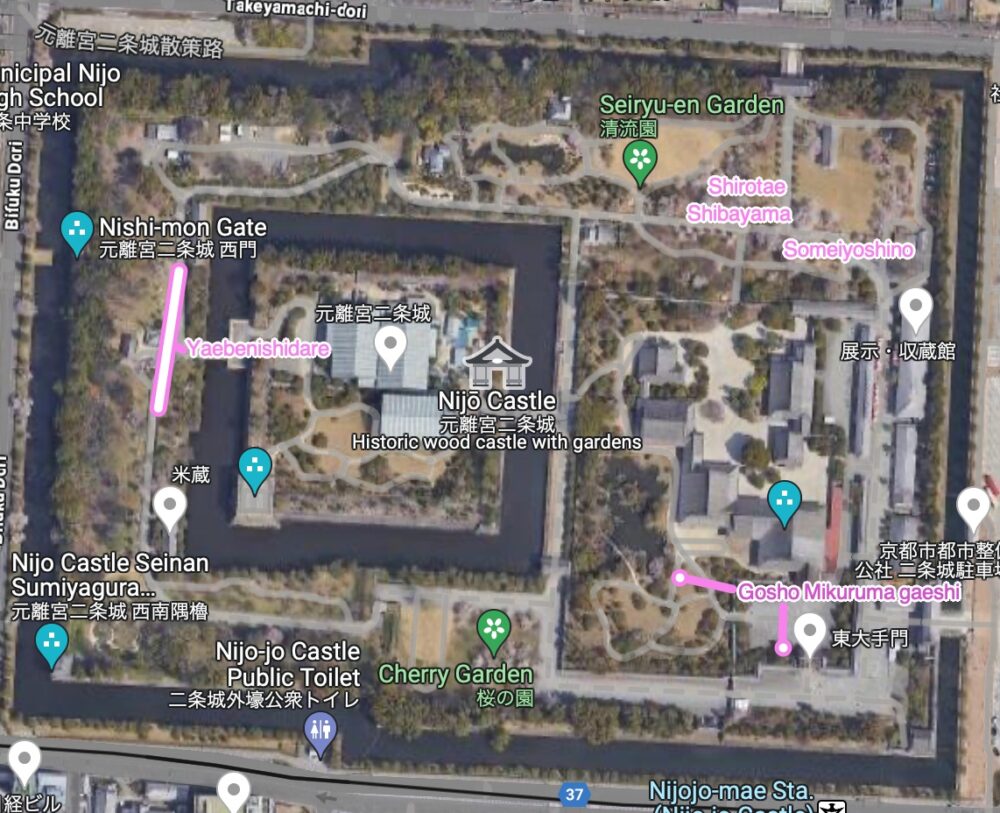 Nijo-jo Castle | spring in 2024Seasonal Japanese Garden