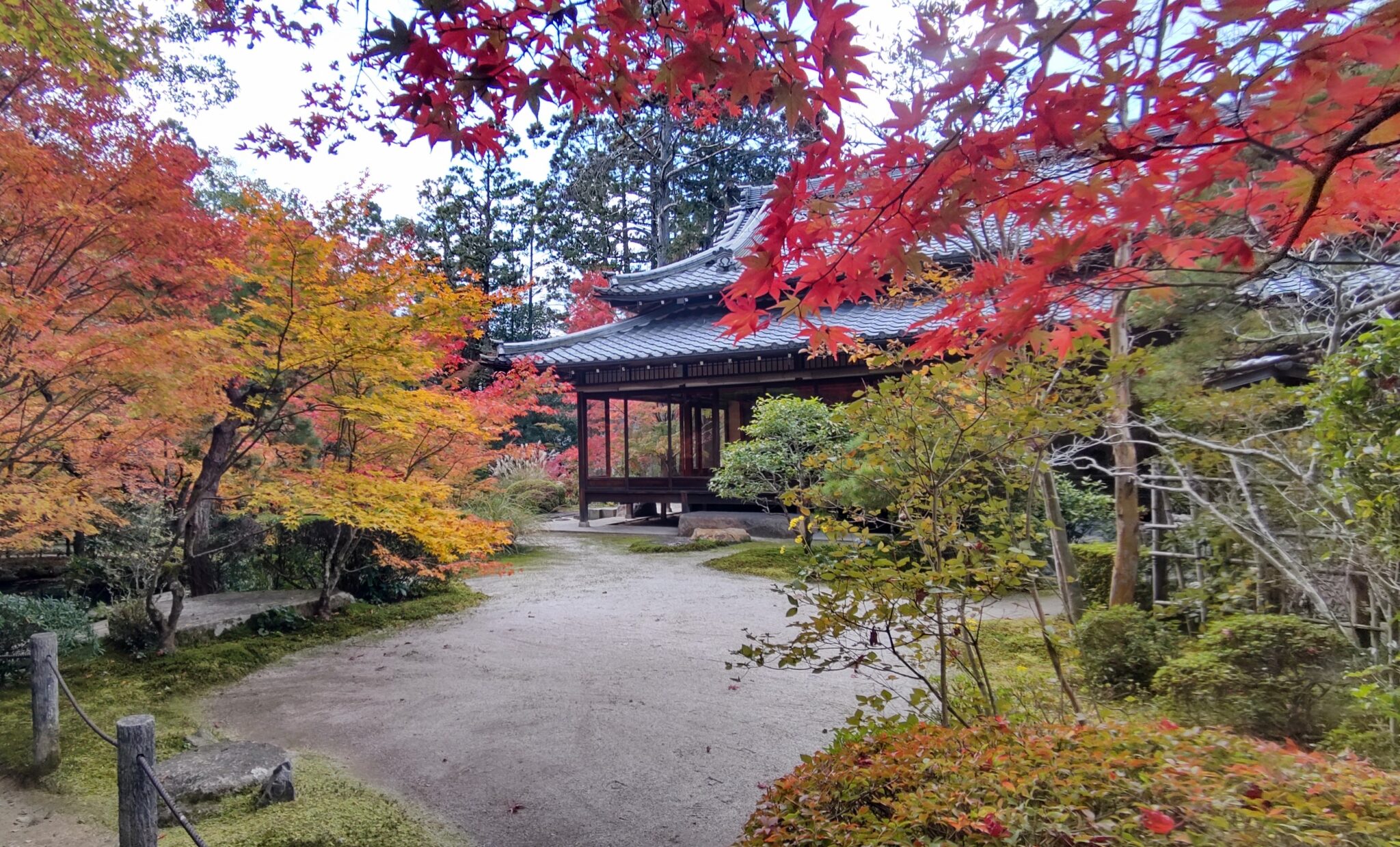 Tenjuan : All you Need to Know in 2025Seasonal Japanese Garden
